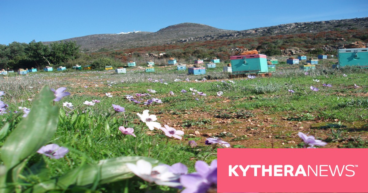 Η Μελισσοκομία των Κυθήρων στο Εθνικό Ευρετήριο - Kythera.News ...