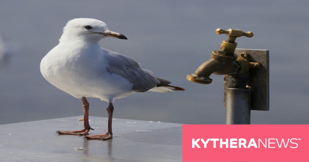 Πάλι θα πούμε το νερό-νεράκι; - Kythera.News - Κυθηραϊκά Νέα