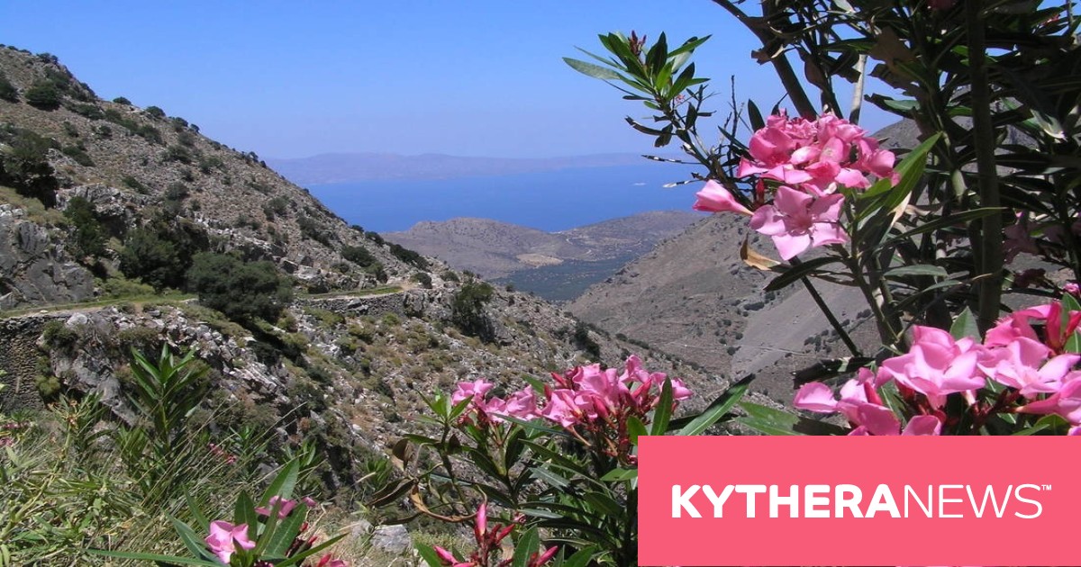 Εγκαινιάστηκε το πρώτο στην Κρήτη φυσικό βοτανικό μονοπάτι - Kythera ...