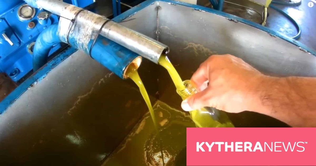 Νέα πώληση 30 τόνων ελαιολάδου από τον Α.Σ Μολάων Πακίων - Kythera.News ...