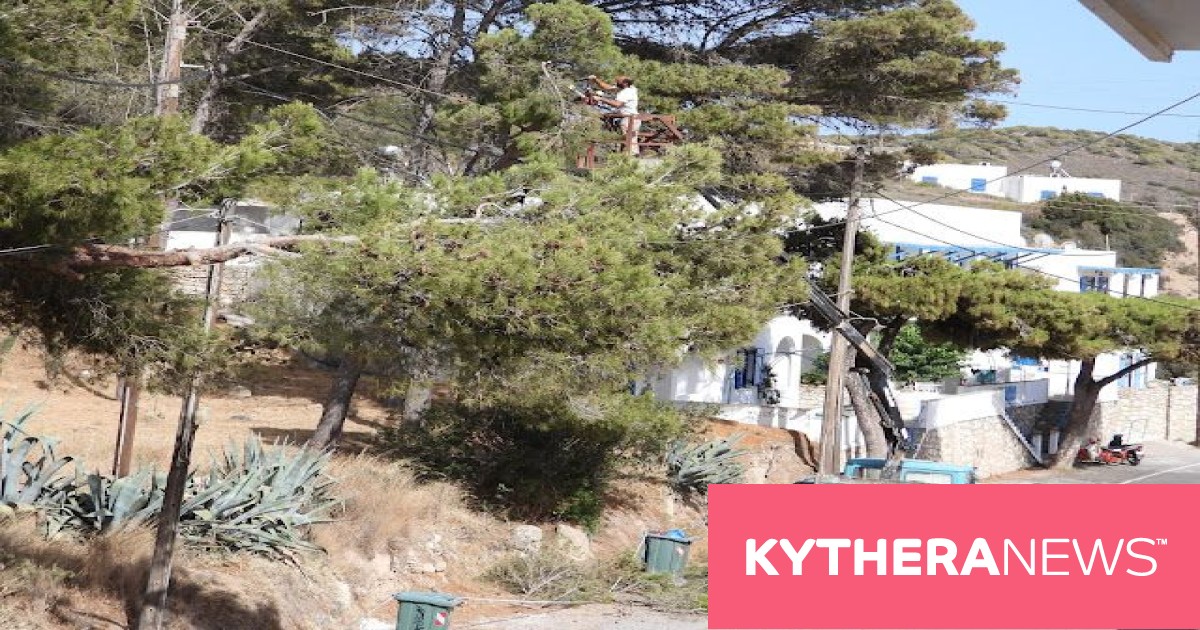 Ευχαριστήριο προς τον Αντιδήμαρχο Πολιτικής Προστασίας Ιωάννη ...