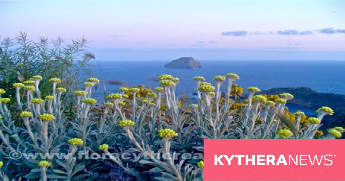 Σεμπρεβίβα - Kythera.News - Κυθηραϊκά Νέα