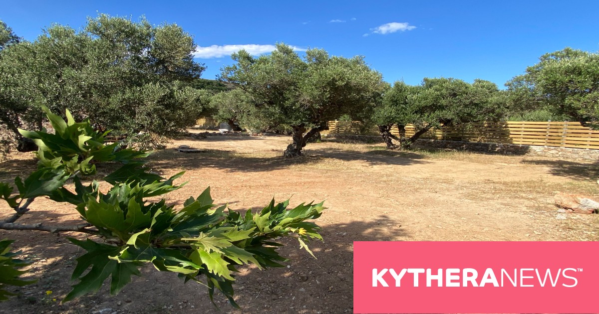 Ανοίγει τον Ιούλιο: Το Liofyto Camping σας περιμένει στα Κύθηρα ...