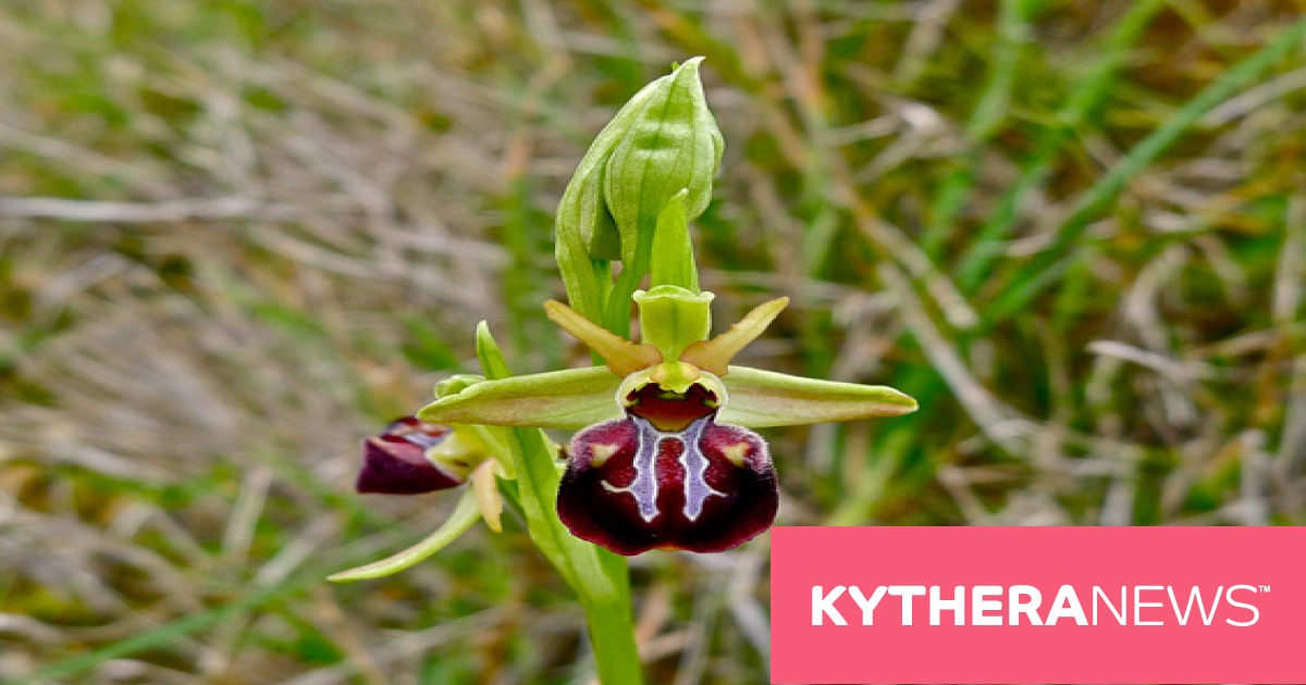 Η οφρύς της Ήρας - Kythera.News - Κυθηραϊκά Νέα