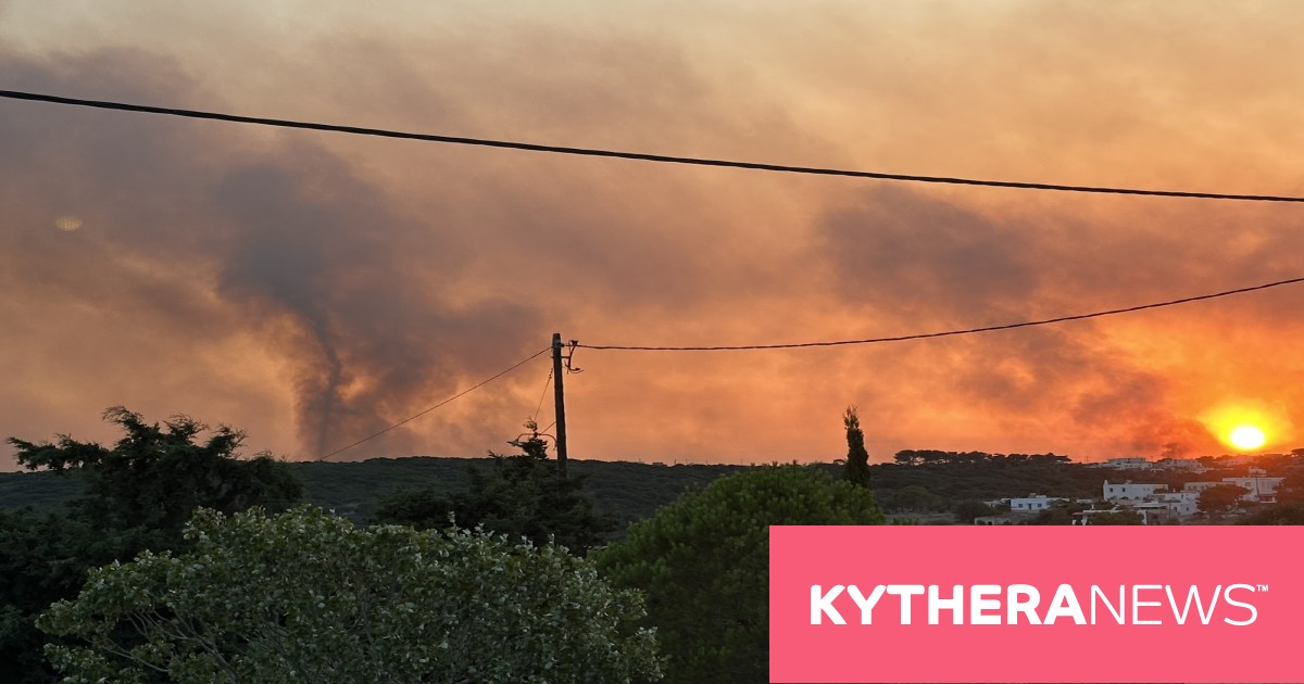 Η ανθρώπινη παρέμβαση στη φύση πριν και μετά από μια δασική πυρκαγιά ...