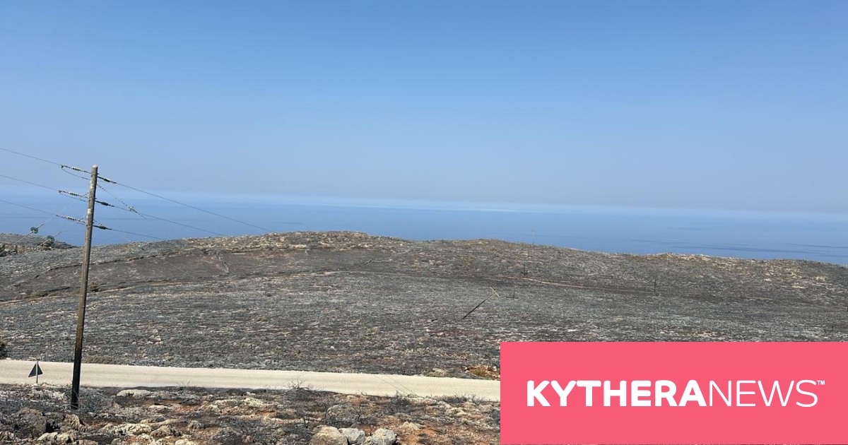 Εγχώριος: Ανακοίνωση για κοπή καμένων δασικών δέντρων - Kythera.News ...
