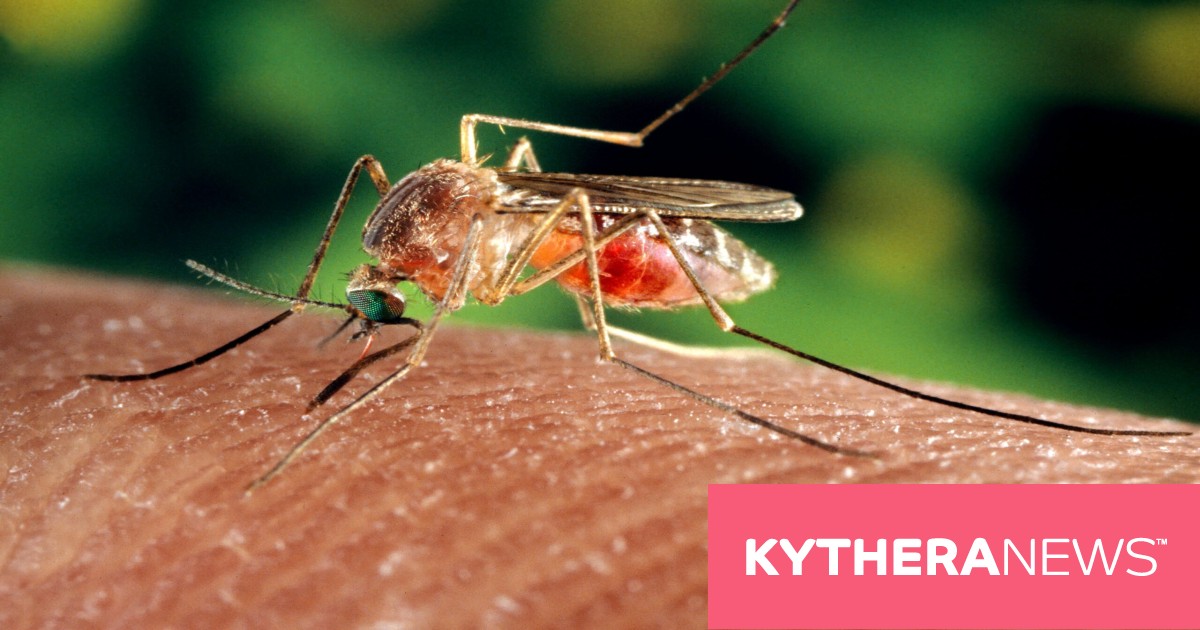 8 γρήγορες και φυσικές λύσεις για το τσίμπημα των κουνουπιών - Kythera ...
