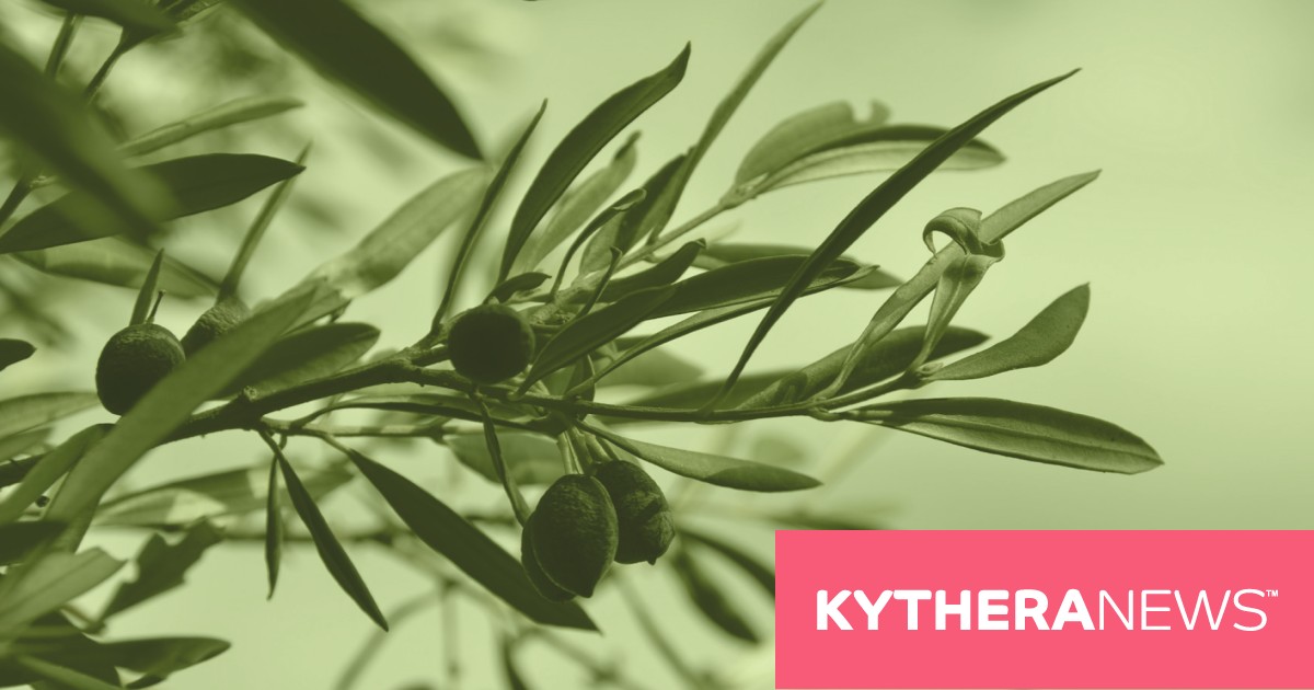 Η ελληνική ελαιοκαλλιέργεια απέναντι στις σύγχρονες κλιματικές ...