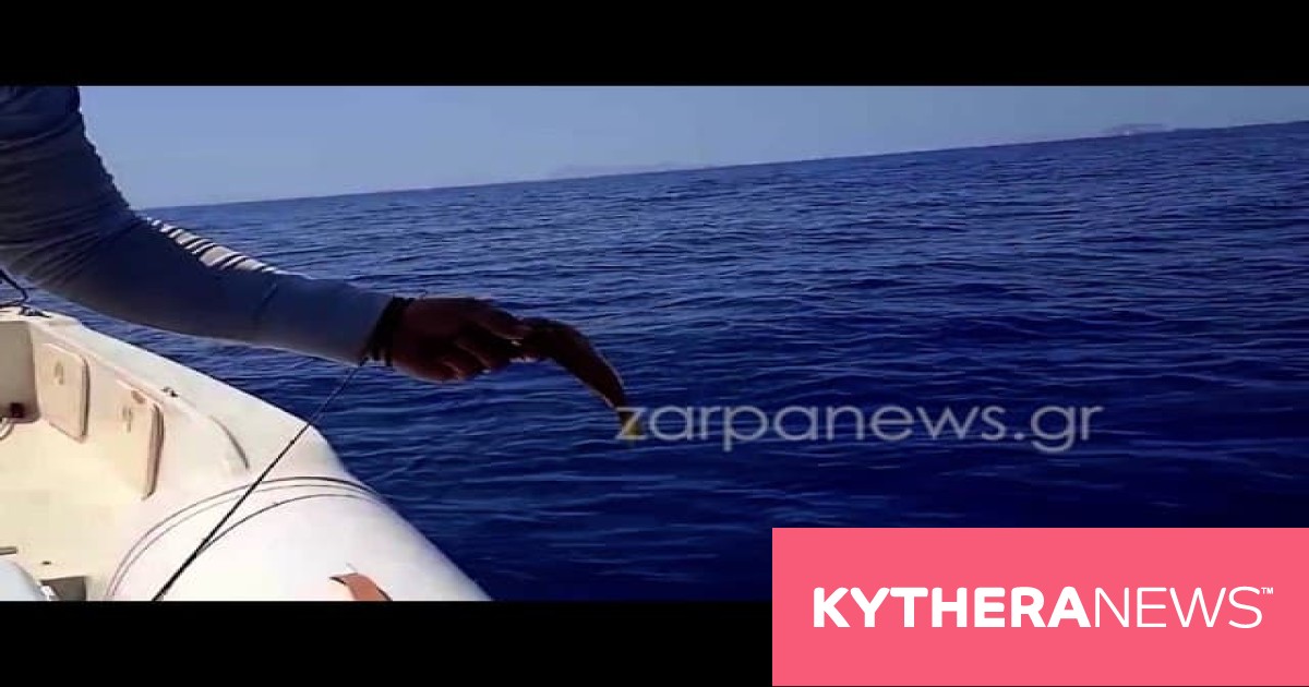 Εμφάνιση γαλάζιου καρχαρία στα ανοιχτά των Κυθήρων / Τον τάισαν οι ...